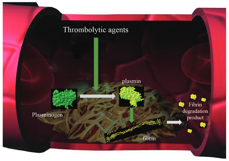 Reteplase: A Market-tested Thrombolytic Agent for Your Portfolio ...