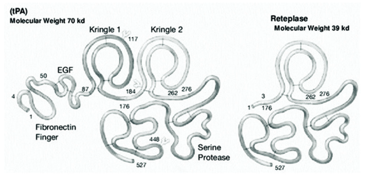 Reteplase: A Market-tested Thrombolytic Agent for Your Portfolio ...